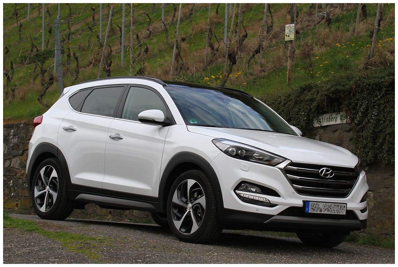 SUV do 80 tys. złotych - jak wybrać najlepszy model dla siebie? - wTrase.pl